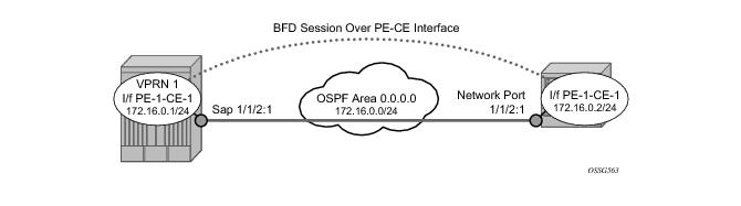 Bi-Directional Forwarding Detection